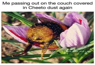 30 Messy Memes For People Who Need to Get Their S--t Together - Funny ...