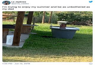 31 Summer Memes That Are Pretty Funny - Funny Gallery | eBaum's World