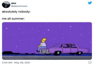 31 Summer Memes That Are Pretty Funny - Funny Gallery | eBaum's World
