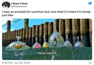 31 Summer Memes That Are Pretty Funny - Funny Gallery | eBaum's World