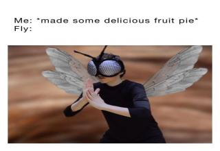 31 Summer Memes That Are Pretty Funny - Funny Gallery | eBaum's World