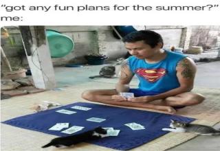 31 Summer Memes That Are Pretty Funny - Funny Gallery | eBaum's World