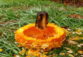 22 Photos Captured at Perfectly Weird Angles - Wtf Gallery | eBaum's World