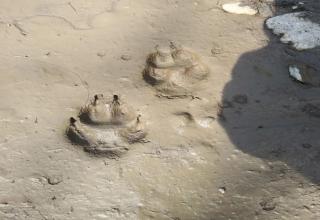 22 Photos Captured at Perfectly Weird Angles - Wtf Gallery | eBaum's World