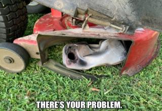 35 Funny Pics of Things Going So, So Wrong - Funny Gallery | eBaum's World