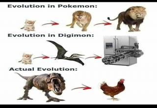 30 Science Memes To Make You Think - Gallery | eBaum's World