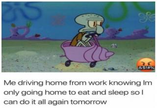 25 Memes That Are Taking Care of Business and Workin' (Unpaid) Overtime ...