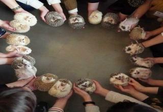 29 Strange Photos That Require An Explanation | eBaum's World