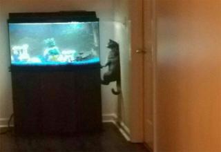 29 Strange Photos That Require An Explanation | eBaum's World