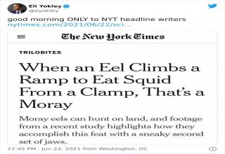 26 Bizarre News Headlines That Are a Totally Fitting Goodbye to 2021 ...