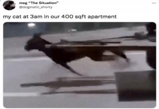 44 Top Notch Tweets From 2021 - Funny Gallery | eBaum's World