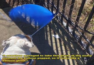 37 Pics Snapped with Impeccable Timing | eBaum's World