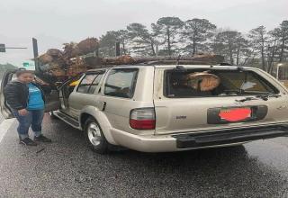 28 Situations That Were Total Disasters - Funny Gallery | eBaum's World