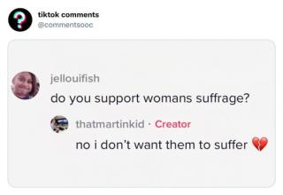 24 Unhinged TikTok Comments That Prove It's The Worst - Funny Gallery ...