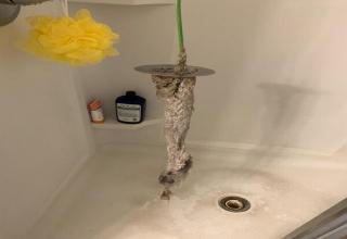 21 Disgusting Pics That Are Also Super Satisfying - Funny Gallery ...