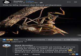 30 Examples of Clueless Idiots Embarrassing Themselves Online - Funny ...