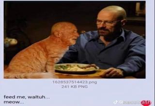 35 Images That Require An Explanation - Funny Gallery | eBaum's World