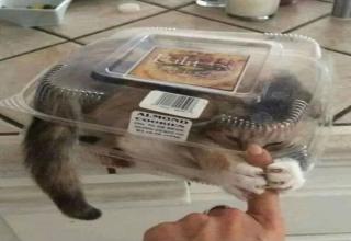 50 Random Pics With Absolutely No Context - Funny Gallery | eBaum's World