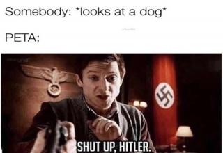 53 Funny Memes that Are Spot On - Dank Memes Gallery | eBaum's World