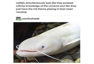 53 Funny Memes that Are Spot On - Dank Memes Gallery | eBaum's World