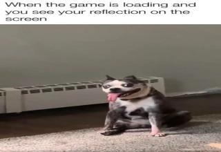 53 Funny Memes that Are Spot On - Dank Memes Gallery | eBaum's World