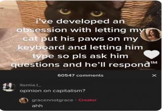 42 Unhinged Comments On TikTok - Funny Gallery | eBaum's World