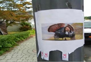 29 Cursed Pics That May Require Eye Bleach - Wtf Gallery | eBaum's World