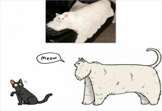 43 Cursed Images To Fill Your WTF Folder - Funny Gallery | eBaum's World