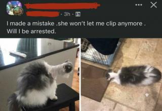 43 Cursed Images To Fill Your WTF Folder - Funny Gallery | eBaum's World