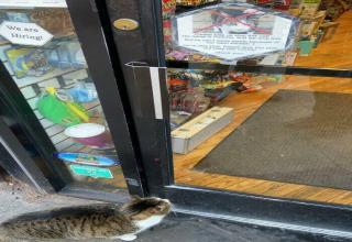 43 Cursed Images To Fill Your WTF Folder - Funny Gallery | eBaum's World