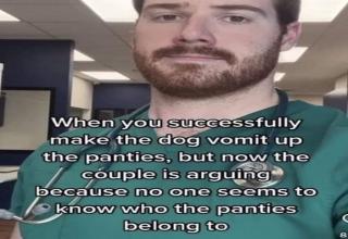 30 Unhinged Posts As Seen On TikTok - Funny Gallery | eBaum's World