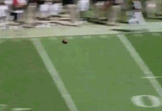 22 Huge Football Hit GIFs - Ouch Gallery | eBaum's World