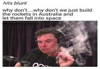 18 Hilarious Memes and Reactions To Elon Musk Smoking Weed On Joe Rogan ...