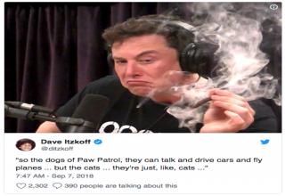 18 Hilarious Memes and Reactions To Elon Musk Smoking Weed On Joe Rogan ...