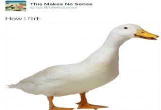 This Parody Twitter Account Is So Stupid Its Hilarious - Ftw Gallery ...