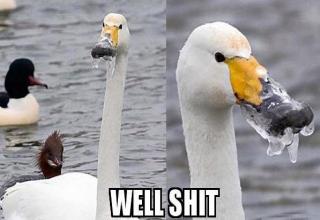 36 of The Best Well Sh*t Moments | eBaum's World