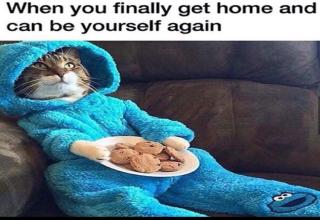 Funny Images From Twitter That Are Right On Point | eBaum's World