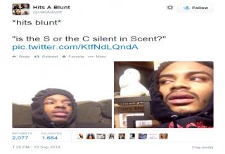 22 Of The Best 'Hits Blunt' Memes Perfect For The Weekend | eBaum's World