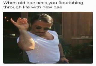 28 New Sprinkle Chef Memes - Gallery | eBaum's World