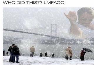 28 New Sprinkle Chef Memes - Gallery | eBaum's World