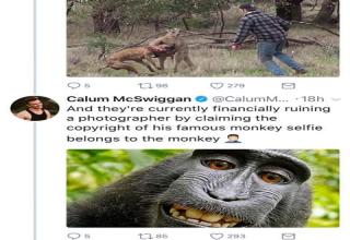 Angry Guy Owns PETA With Examples of Their Own Hypocrisy - Ftw Gallery ...