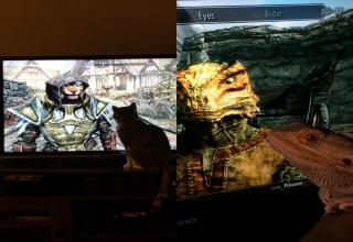 37 Funny Memes to Give You an Extra Life - Ftw Gallery | eBaum's World