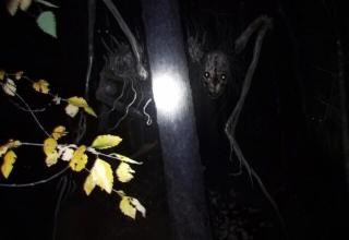 21 Disturbing Pics and Drawings That Will Creep The Shit Out Of You ...