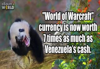 22 Fascinating Facts To Start Your Week Right - Wow Gallery | eBaum's World