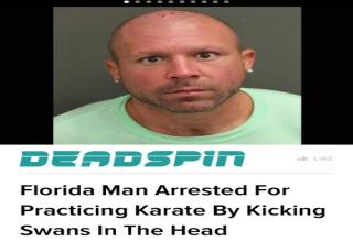 22 Adventures of Florida Man That Goes With Your Morning Coffee - Funny ...