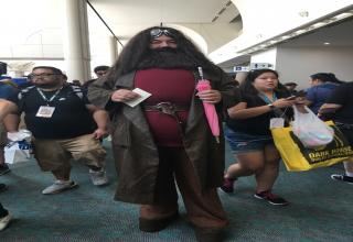 35 Well-Done Cosplays from 2018's Comic-Con - Ftw Gallery | eBaum's World