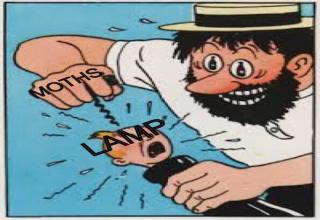 27 Moth Memes That Will Bring You Towards The Light - Funny Gallery ...