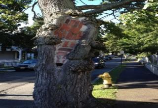 35 WTF Pics That'll Make You Scratch Your Head - Wtf Gallery | eBaum's ...