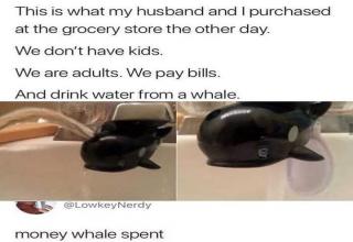 42 Dad Jokes That Are Making Us Audibly Groan - Funny Gallery | eBaum's ...