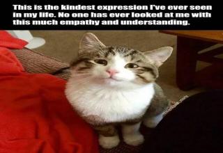 31 Pics & Memes Obtained Through Obtrusive Means - Funny Gallery ...